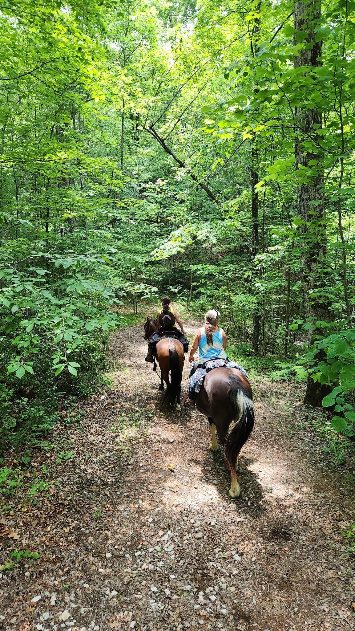 Big South Fork - Saddle Valley Campground